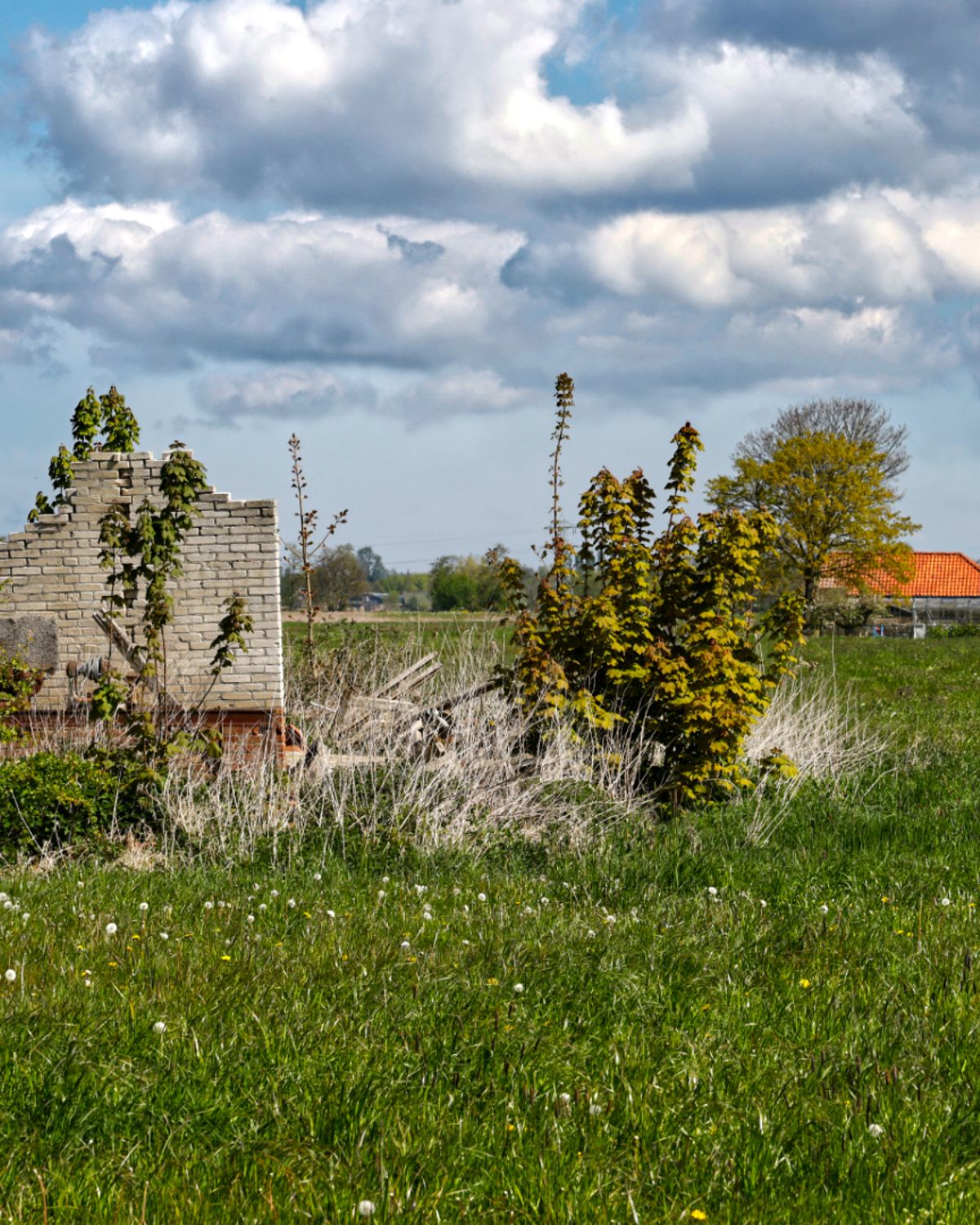 Deze ruïne staat al 40 jaar bij een zwembad in Groenekan - RTV Utrecht