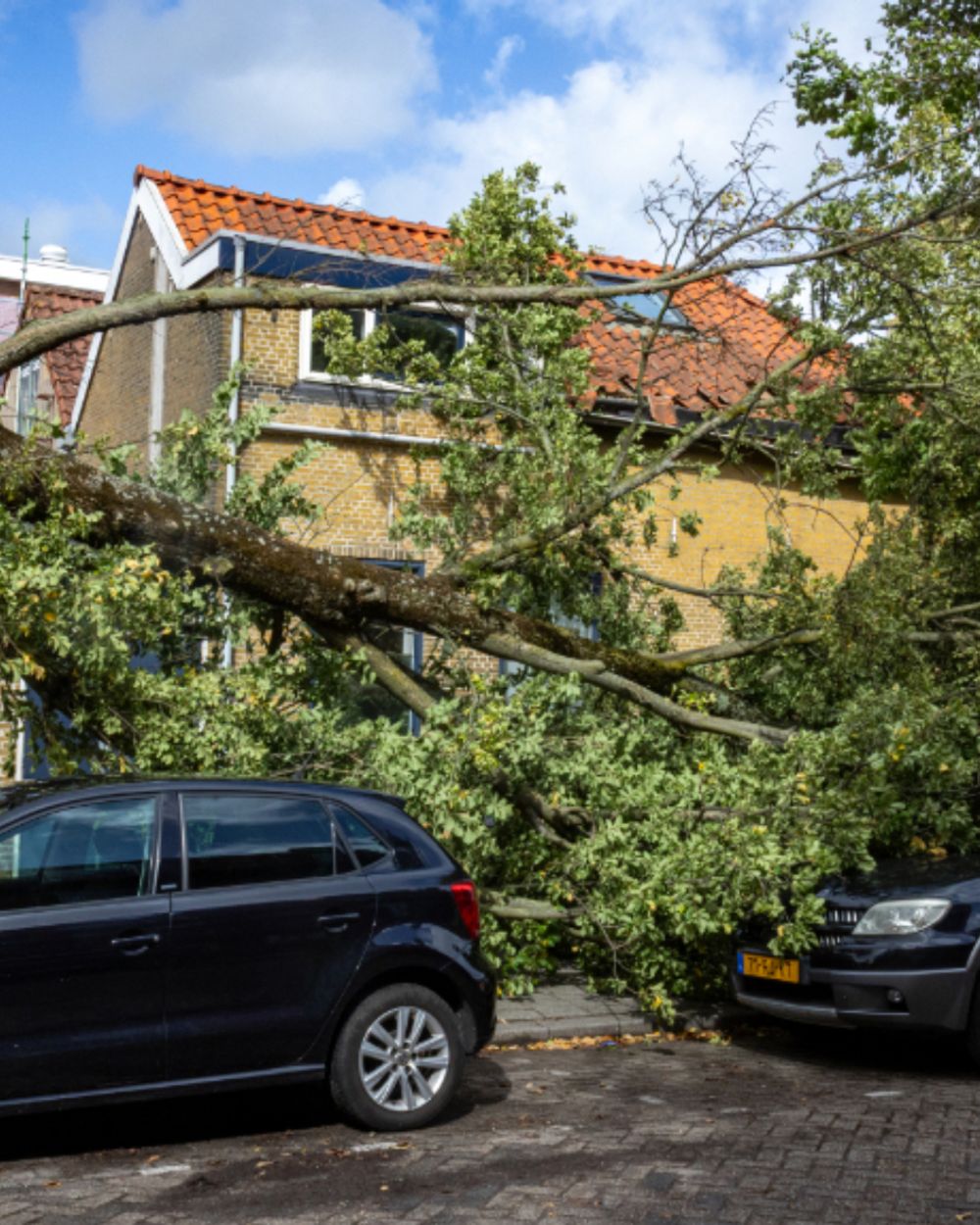 Boom waait om en belandt op dak: 'Ik dacht dat het hele huis plat lag ...