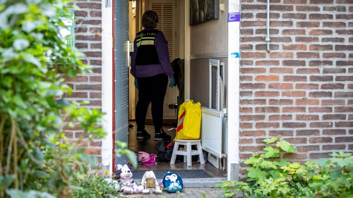 'Hulpverlening negeerde alle signalen bij zorg voor Vlaardings pleegmeisje' - Rijnmond