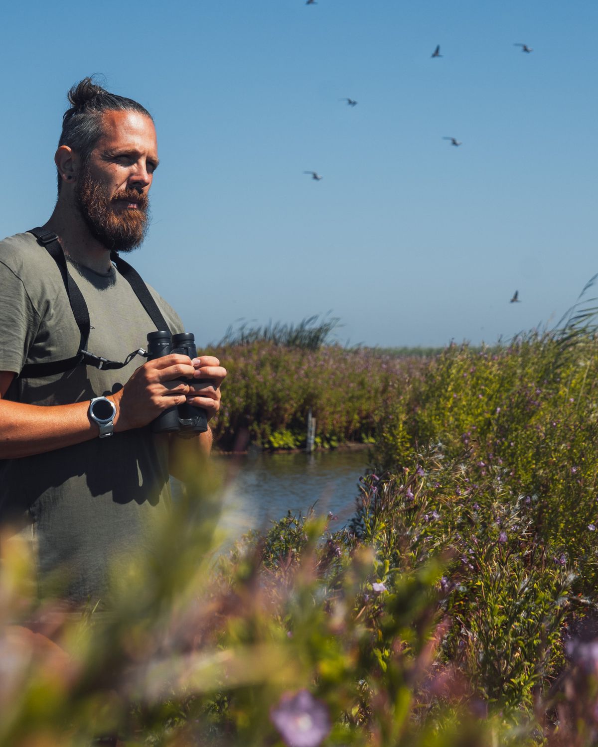 Dit is waarom jij dit weekend de vogels rondom je huis moet tellen - Oost