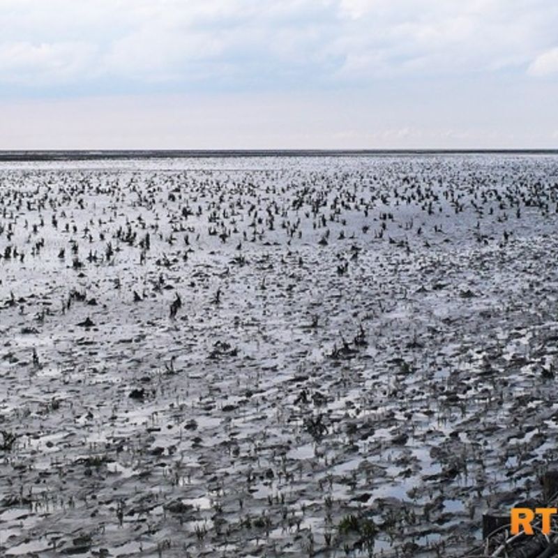 Nog een gedeelte Waddenzee op Werelderfgoedlijst - RTV Noord
