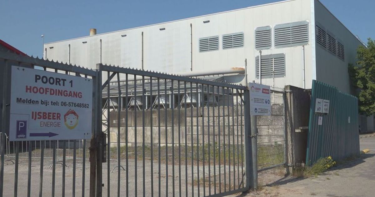 Gemeente legt IceBear opnieuw last onder dwangsom op - Oost