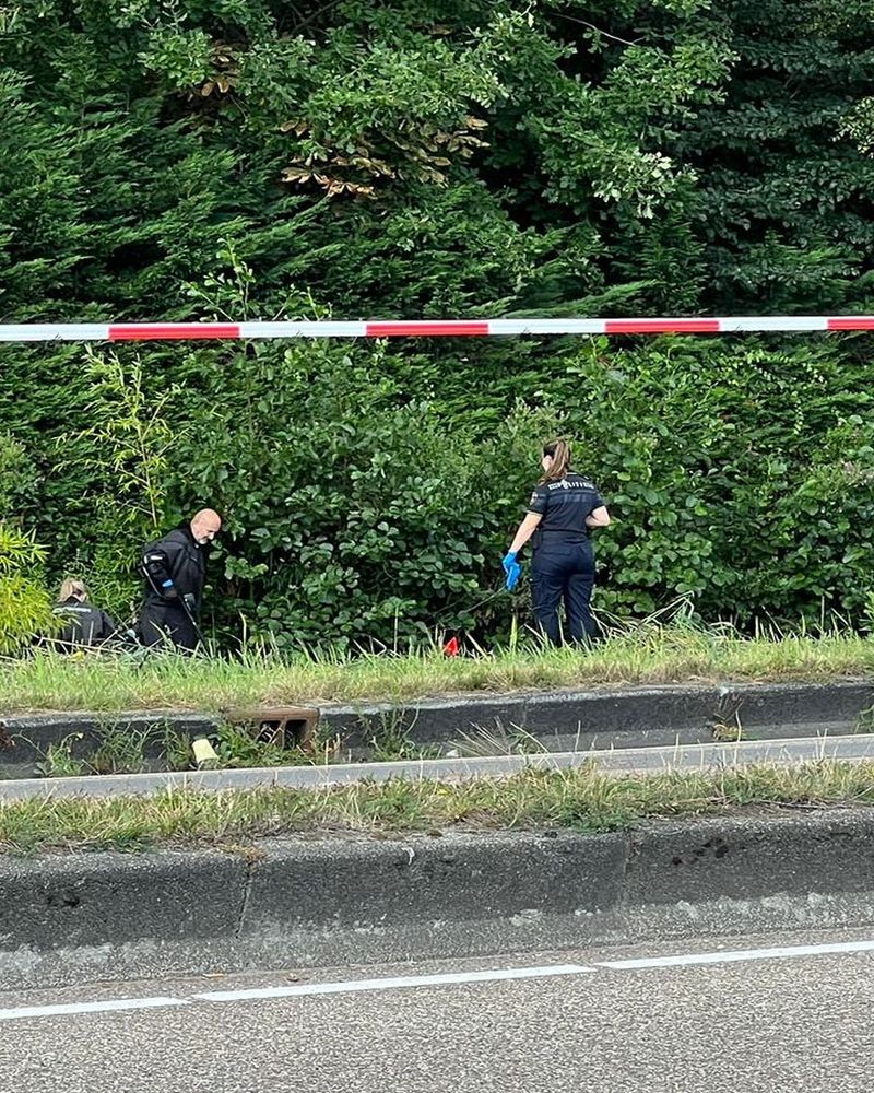 Omgebrachte Lisa (17) uit Abcoude sloeg zelf alarm, politie heeft tientallen tips binnen - RTV ...