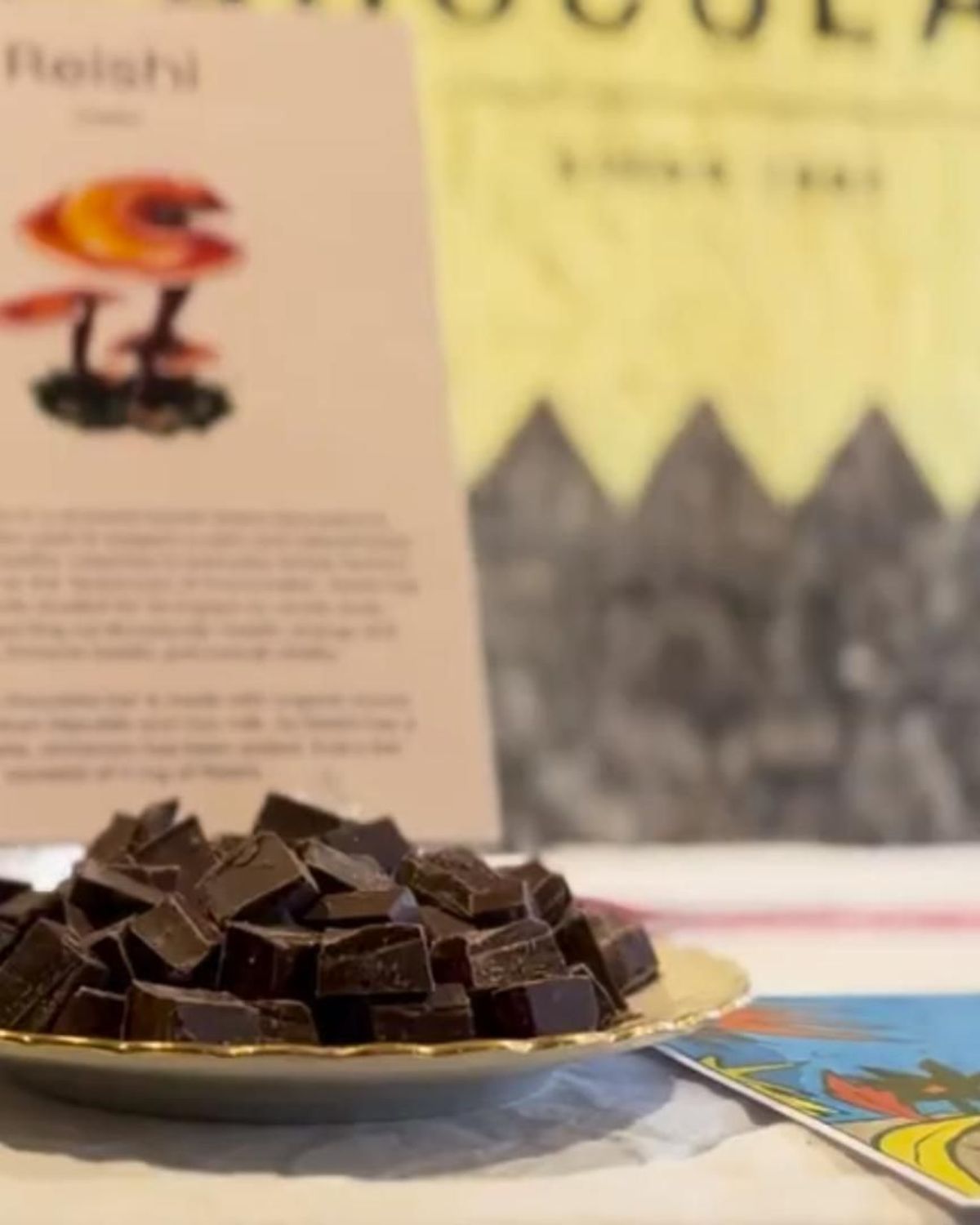 Chocola met paddenstoelen: het wonderingrediënt helpt je kalmeren ...