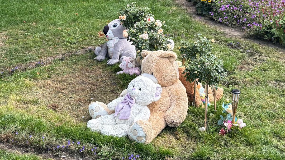 Tarwekamp-explosie laat bewoners niet los: 'Heb er een trauma van ...