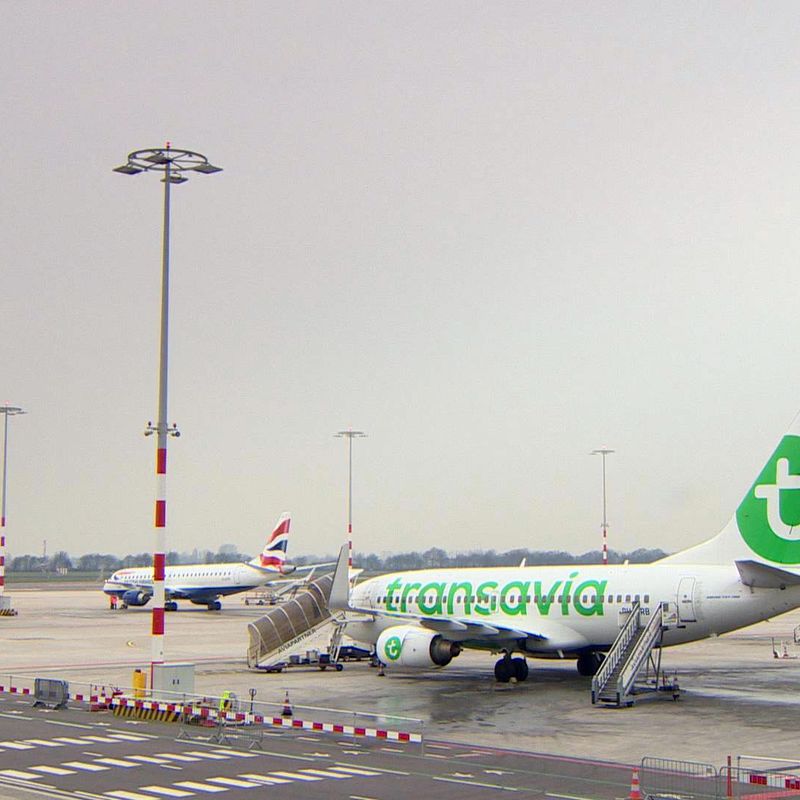Transavia vliegt vanaf 18 juni weer vanaf Rotterdam - Rijnmond