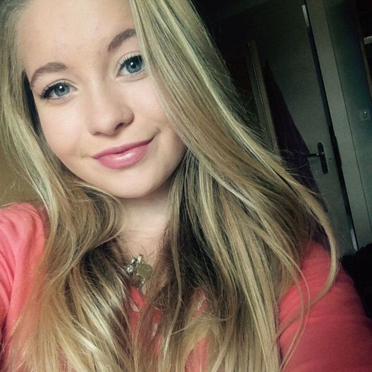 OM wil nieuw onderzoek naar verdachte die Lisanne doodstak - Omroep Gelderland