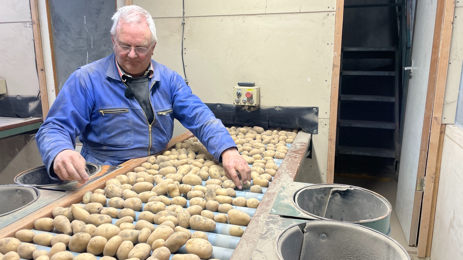 Groningse boeren druk met de grootste klus van het jaar ...