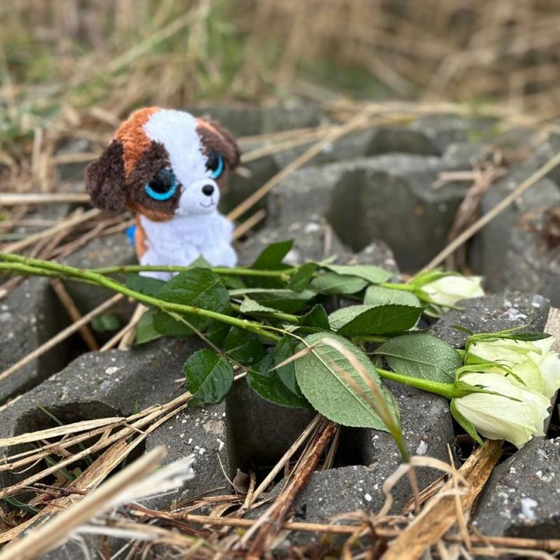 Overleden baby in water Lekkerkerk is meisje, buurt reageert ...