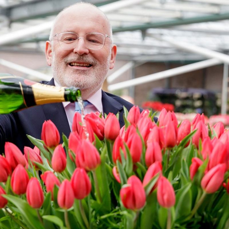 Frans Timmermans doopt tulp voor overleden vriend - Omroep West