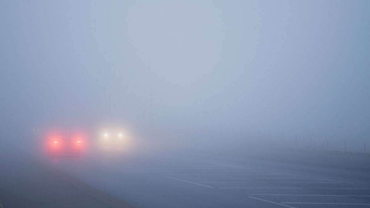 Rijden in de mist. Wat moet en mag je doen met je verlichting? - L1 Nieuws