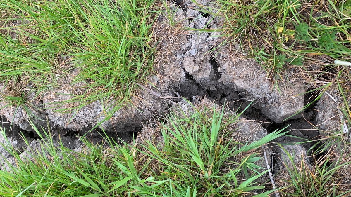Grote scheuren in het land: Wetterskip en boeren nemen maatregelen ...