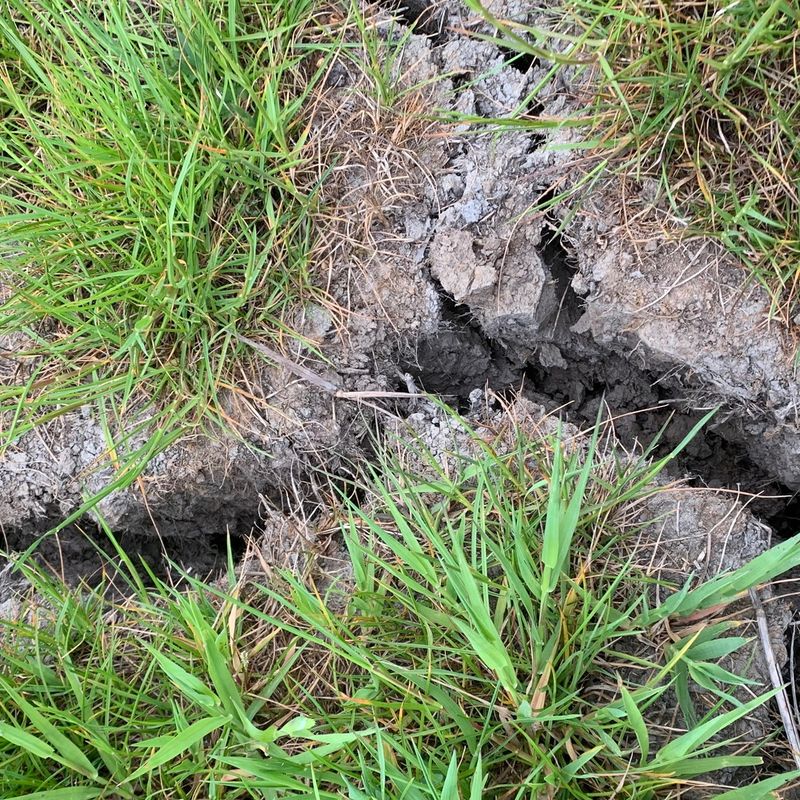 Grote scheuren in het land: Wetterskip en boeren nemen maatregelen ...