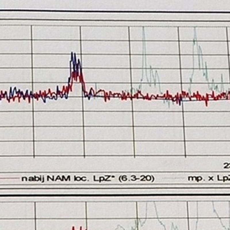 Zoektocht naar bromtoon Zuidhorn leidt soms naar NAM-terrein - RTV Noord