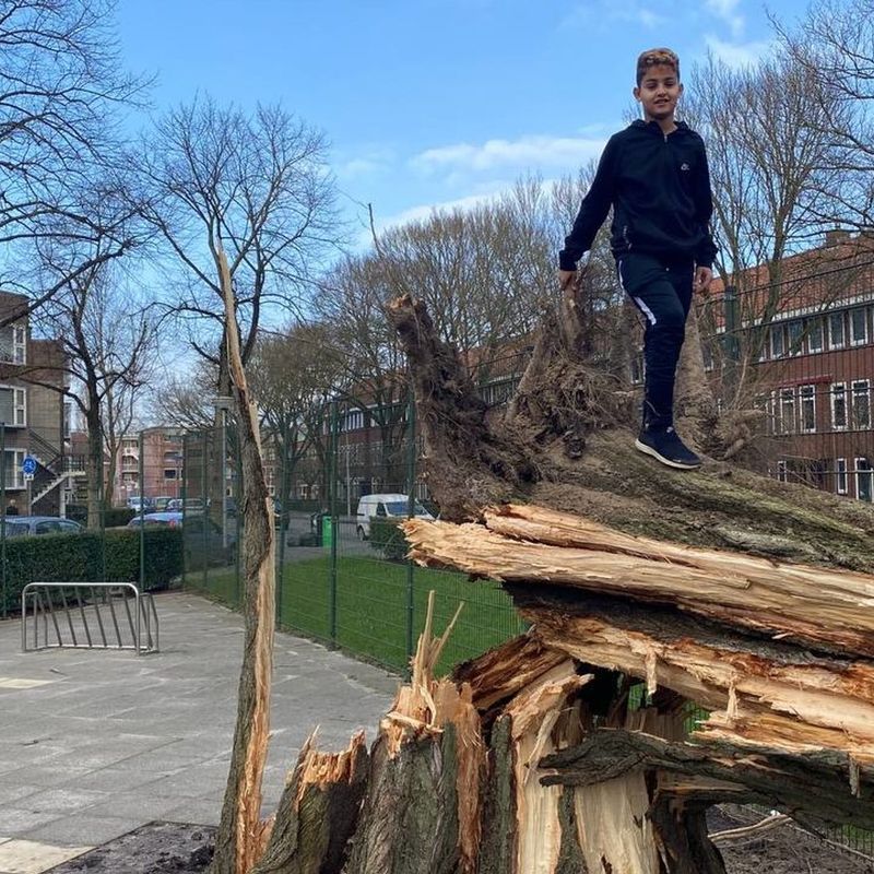 Zakaria Ali (12) uit Beilen ontsnapt aan omvallende boom tijdens ...