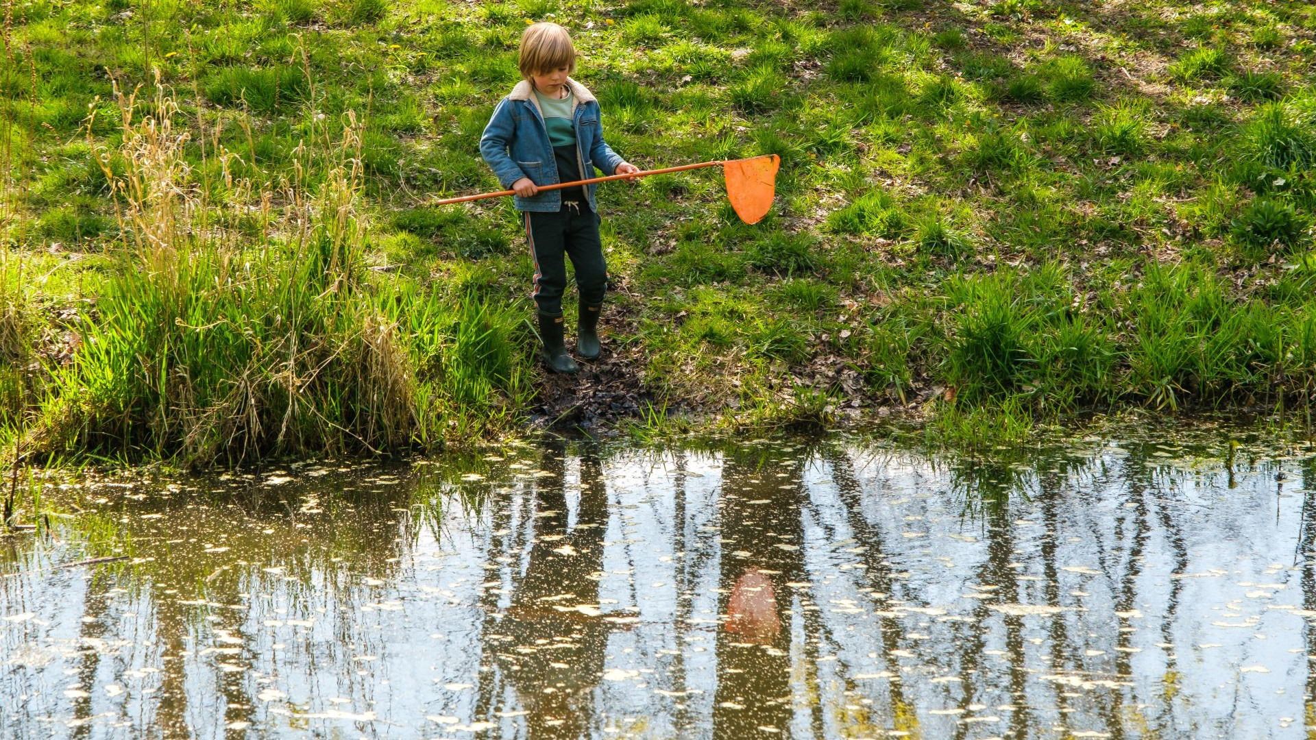 Ecologische sloot met planten belangrijk voor flora en fauna - Omrop ...