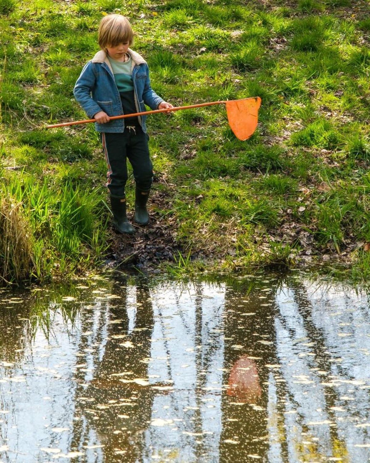Ecologische sloot met planten belangrijk voor flora en fauna - Omrop ...