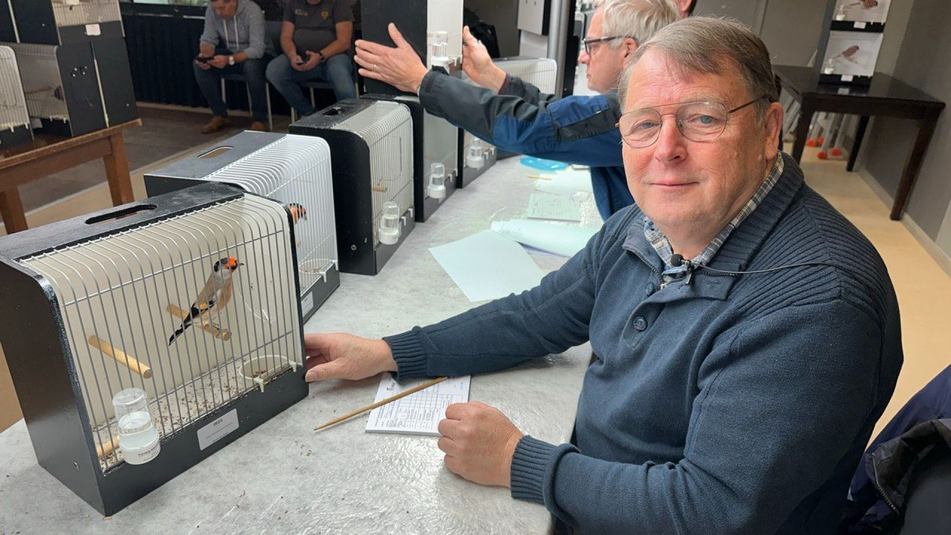 Sijs, goudvink of putter, wie heeft de mooiste Europese vogel? - Omroep ...