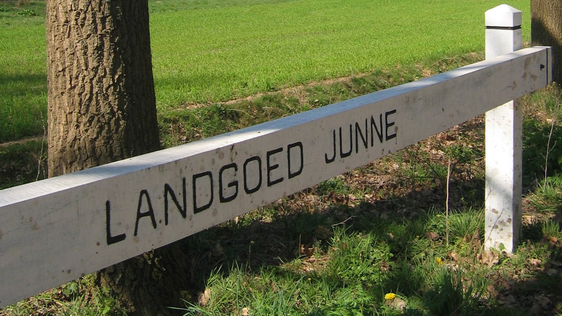 Tuin der Lusten op landgoed Junne bij Ommen - Oost