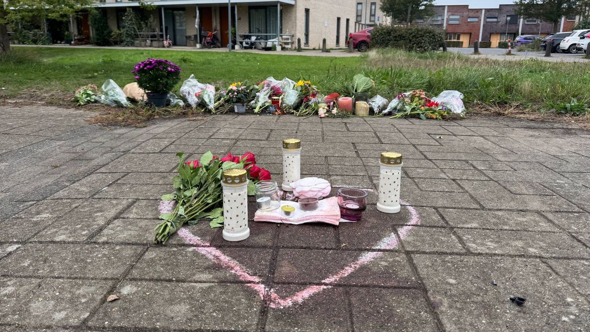 Verdachte steekincident Lent blijft langer vastzitten - Omroep Gelderland