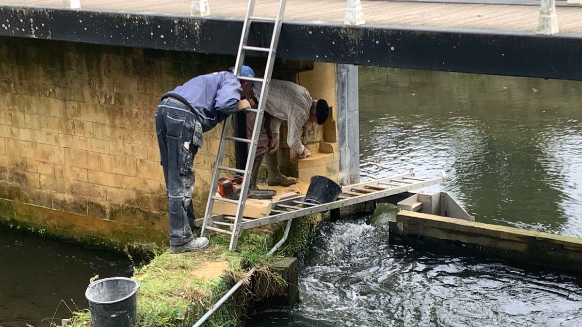 Valkenburg begint met herstel kademuren na overstroming - L1 Nieuws