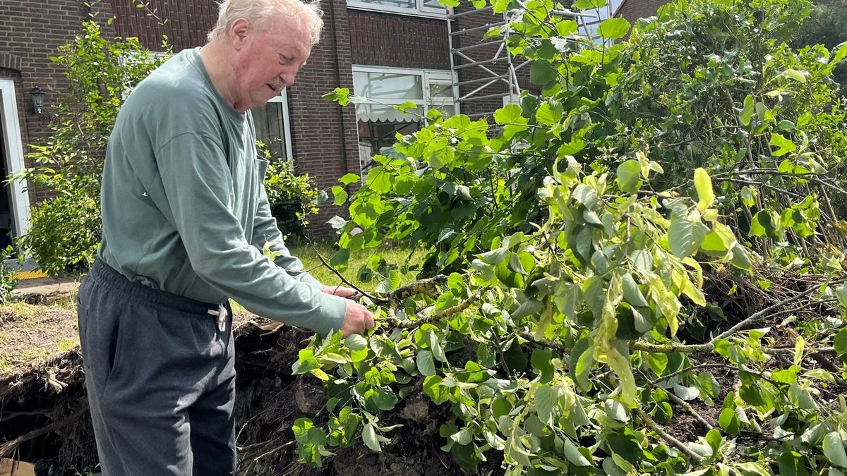 VIDEO: Een dag na storm Poly wordt in Fryslân de schade opgemaakt ...