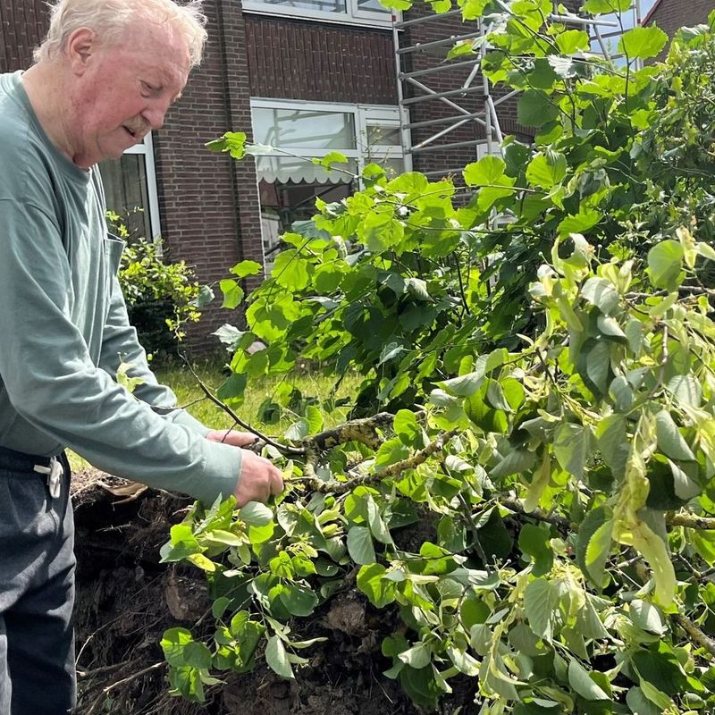 VIDEO: Een dag na storm Poly wordt in Fryslân de schade opgemaakt ...
