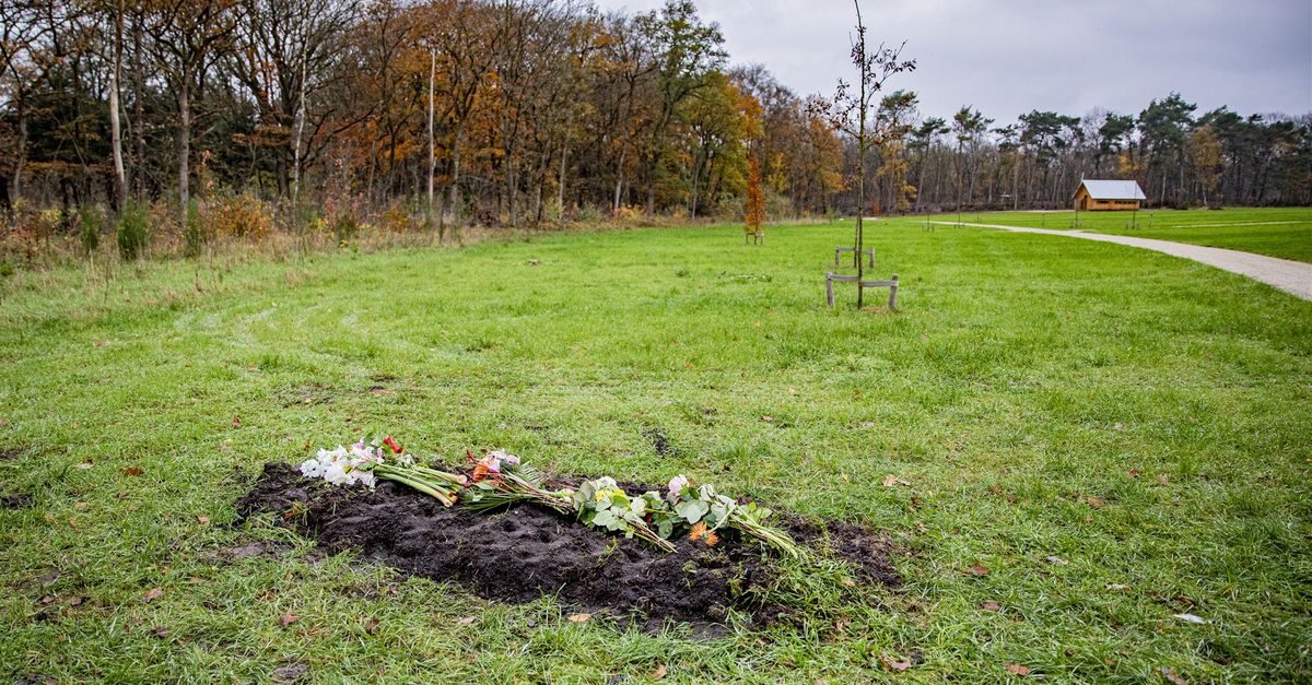 Opmerkelijk: inwoner Veere wil graf op eigen grond en dit is waarom dat ...