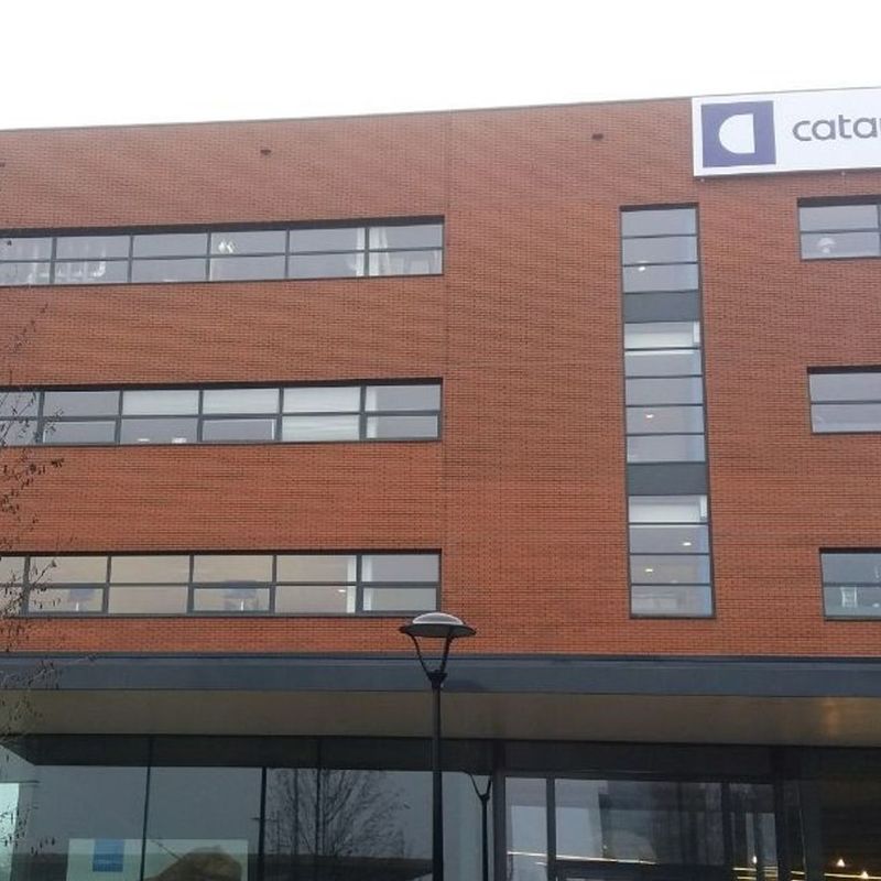 Catawiki haalt investering van 150 miljoen euro binnen - RTV Drenthe