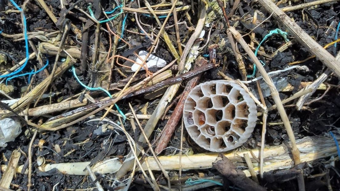 Schouwse kust vervuild met kunststof-filters, vingers wijzen naar ...