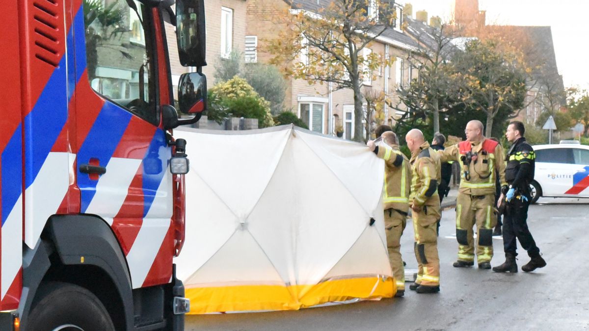 Automobilist komt om het leven bij botsing tegen boom - Omroep West