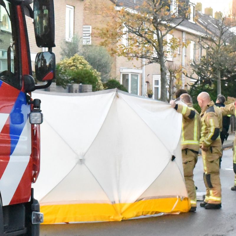 Automobilist komt om het leven bij botsing tegen boom - Omroep West