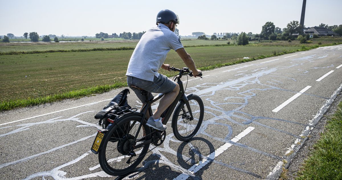 Speedpedelecers mogen nog 5 jaar kiezen: rijbaan of fietspad - RTV Utrecht