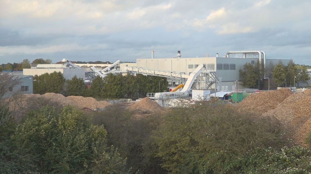 Rechter fluit Steenwijkerland terug: last onder dwangsom opgeschort voor IceBear - Oost