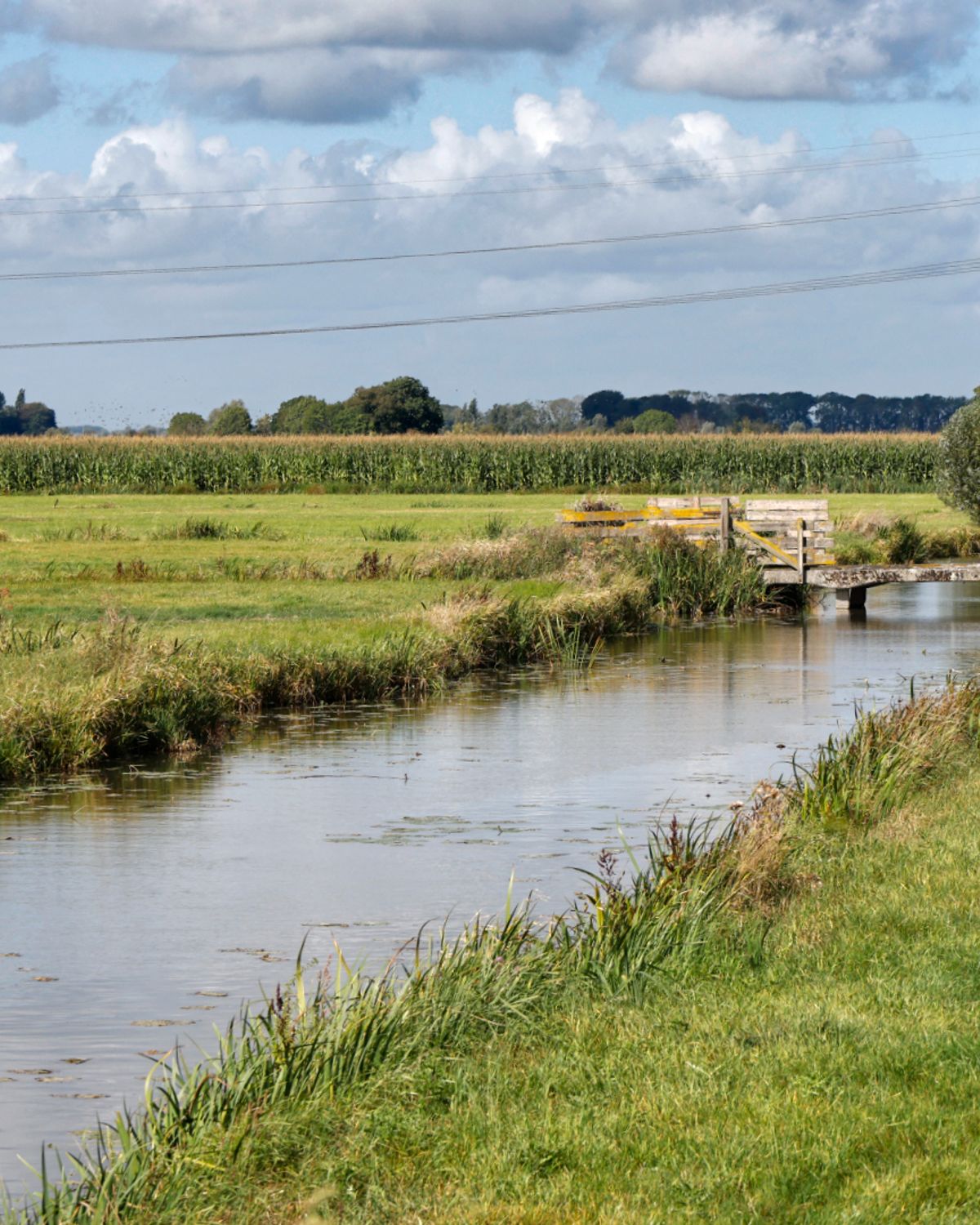 'Rammstein in Rijnenburg': Utrecht wil polder als nieuwe plek voor ...