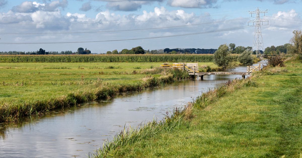 'Rammstein in Rijnenburg': Utrecht wil polder als nieuwe plek voor ...