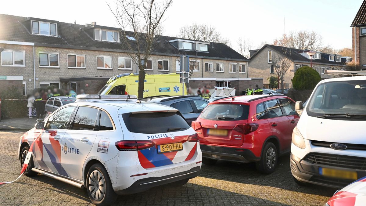 11-jarig meisje doodgestoken in Nieuwegein: 'Zeer reëel dat verdachte slachtoffer niet kende ...