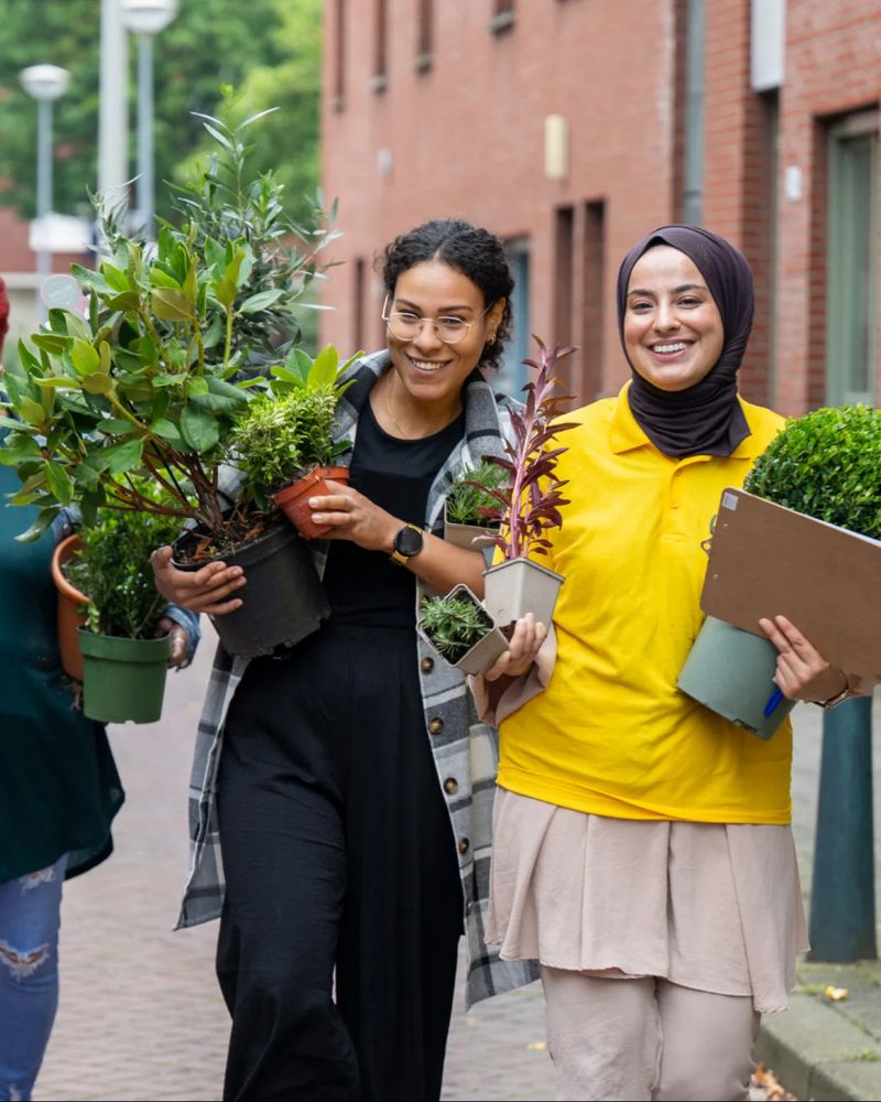 Geveltuintjes, klimplanten en weg met de stenen: zoektocht naar ...