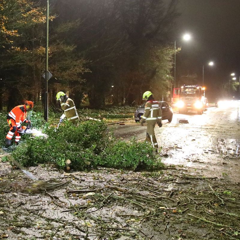 Storm Conall trok over Gelderland, één dode - Omroep Gelderland