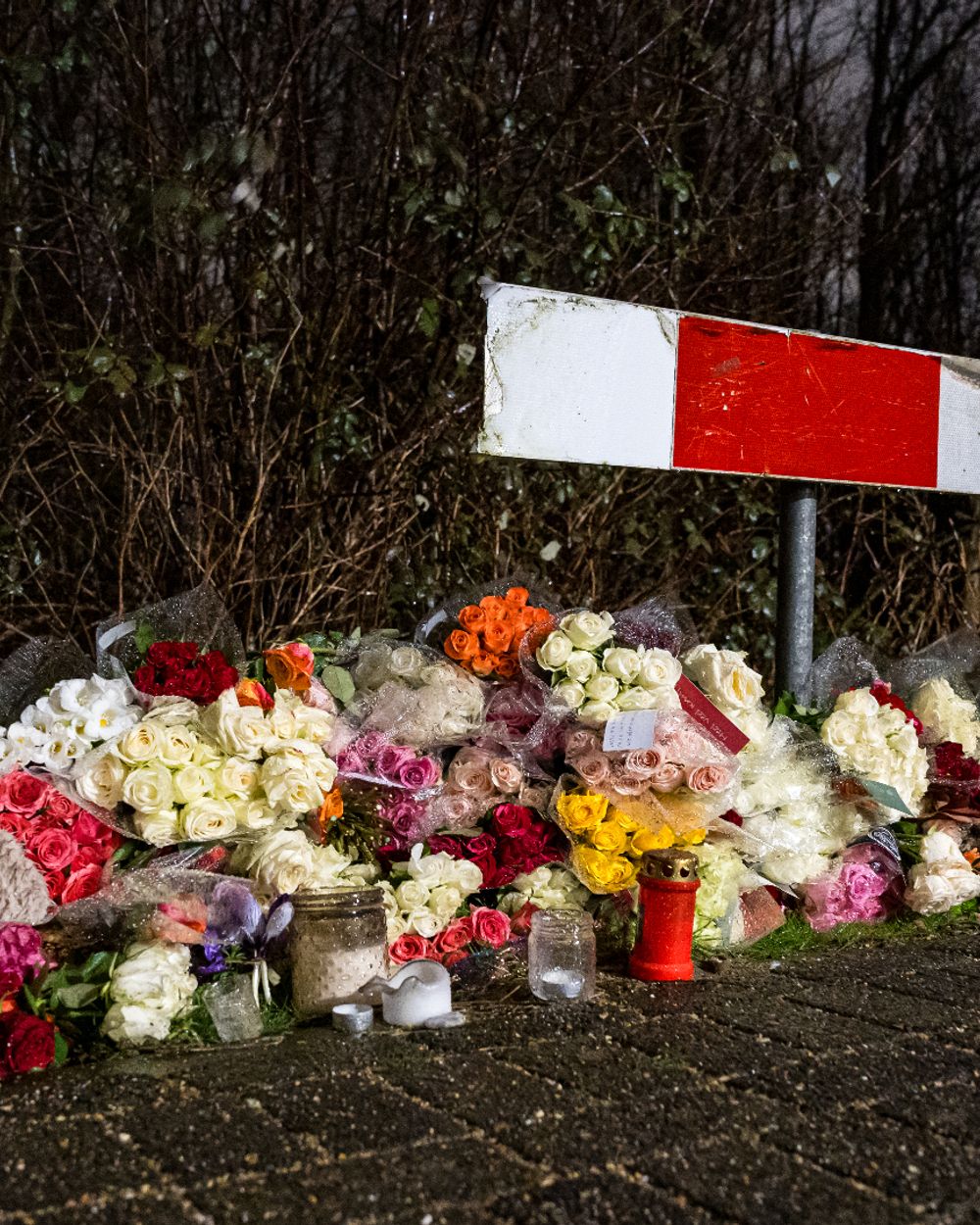 Jongen (13) die verdacht wordt van doodsteken leeftijdsgenoot blijft vastzitten - Rijnmond