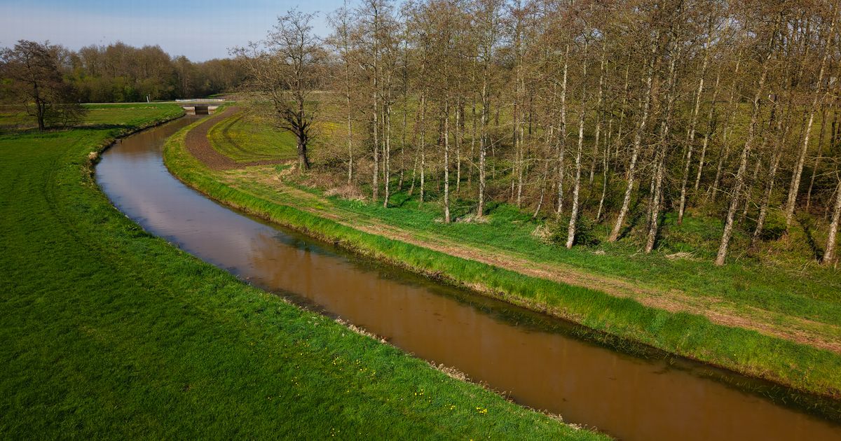 Westerborkerstroom weer schoon mooi plan maar niet voor provincie - RTV ...