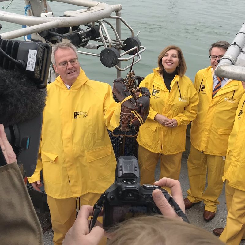 De eerste kreeft van het seizoen is boven water; 'Wat een joekel ...