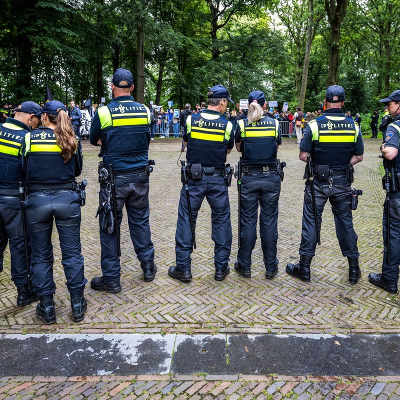 Paar honderd betogers bij paleis Huis ten Bosch, maar komen te laat ...