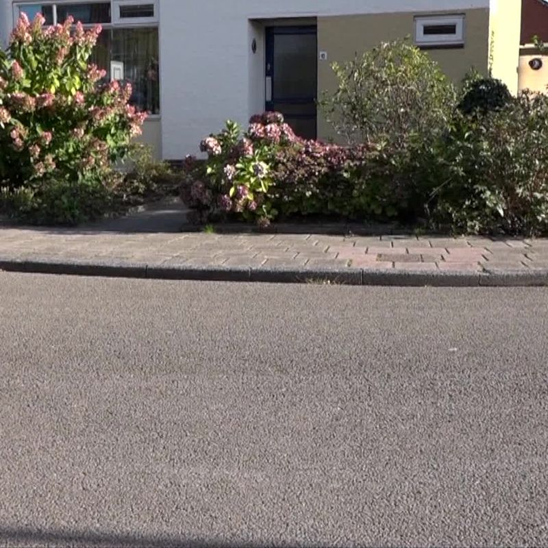 Tim Heere vertegenwoordigt ons land bij EK hockey voor elektrische ...