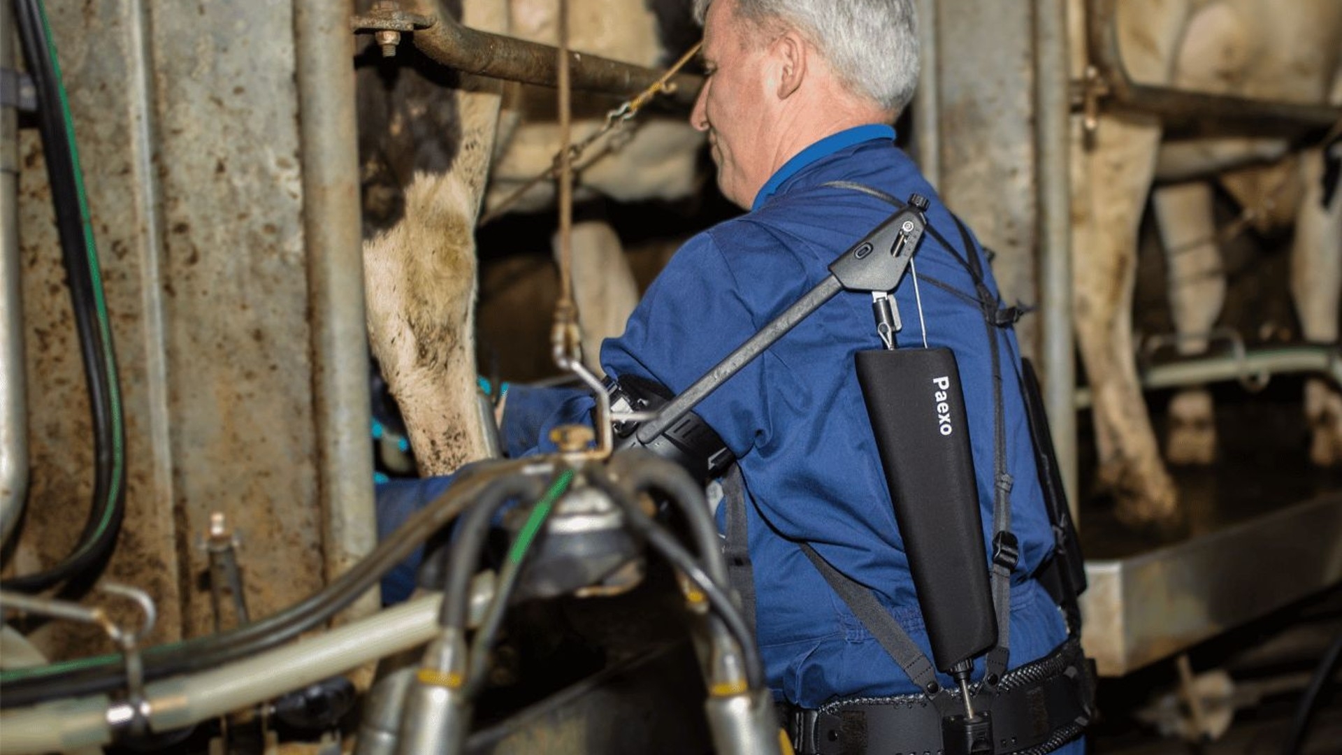 Abiant schaft exoskeletten aan voor boerenbedrijfsverzorgers - RTV Noord