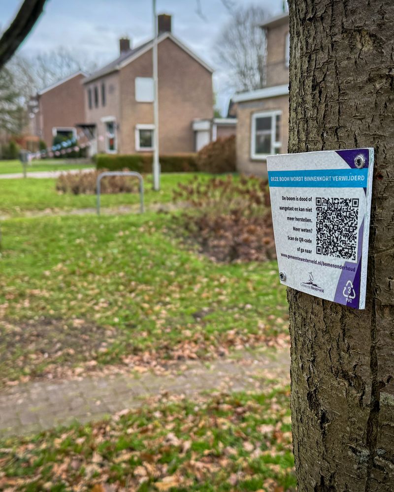 Geen gele stippen op de boom meer in Westerveld, maar kaartjes met QR ...