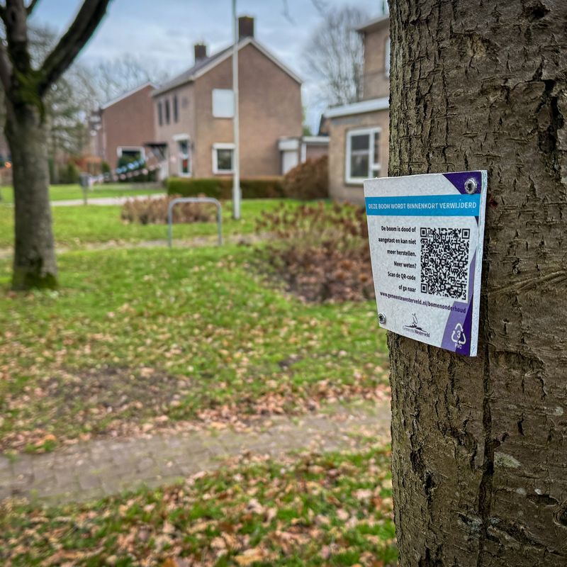 Geen gele stippen op de boom meer in Westerveld, maar kaartjes met QR ...