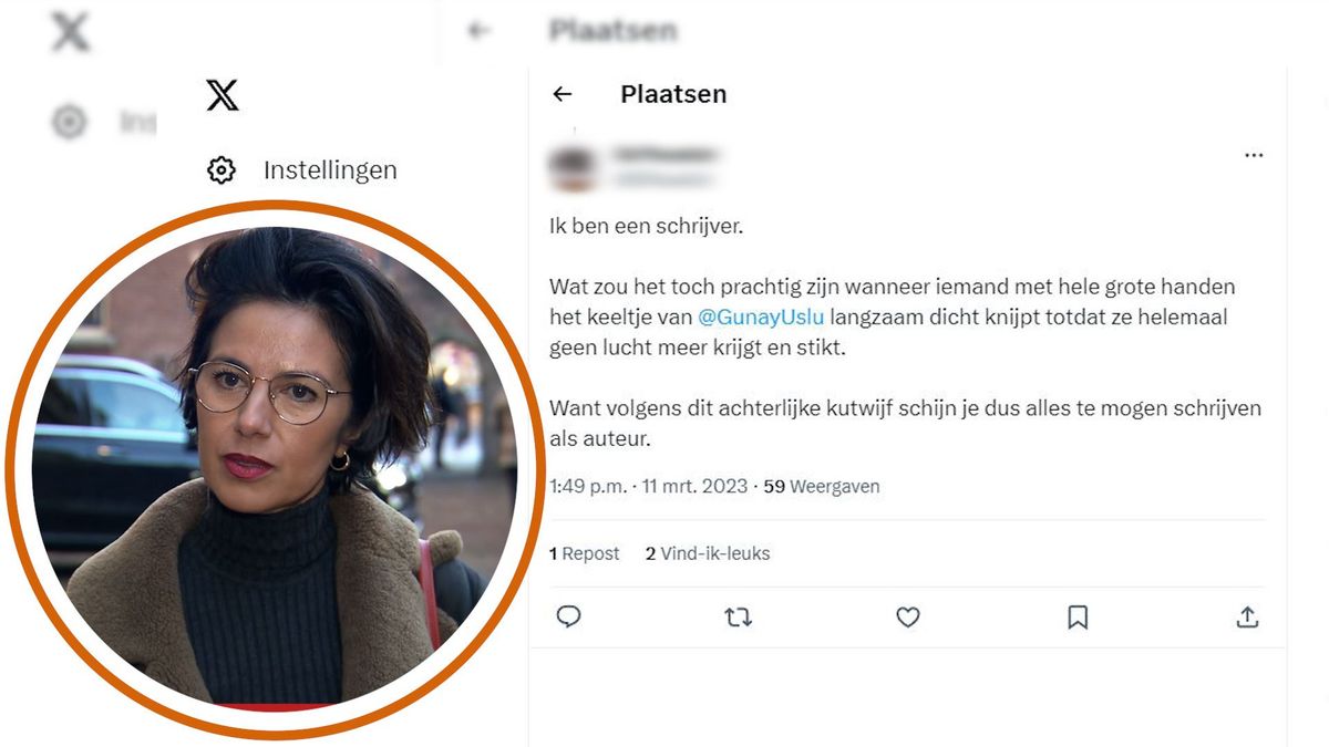 Opruiende taal richting 'kutwijf' Uslu komt Apeldoorner duur te staan ...