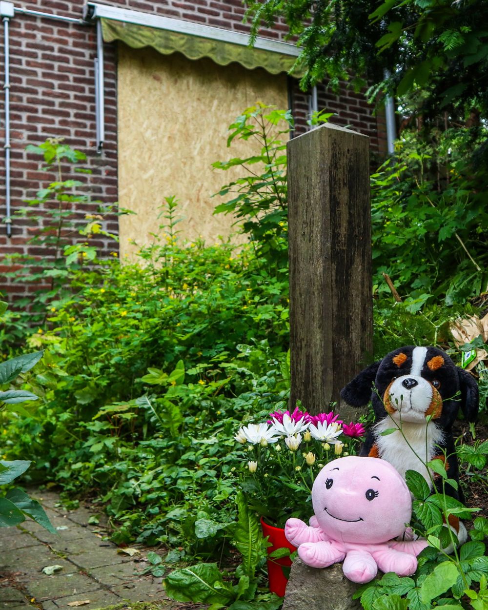 'Moeder en zusje Vlaardings pleegmeisje stellen zorgorganisaties aansprakelijk' - Rijnmond