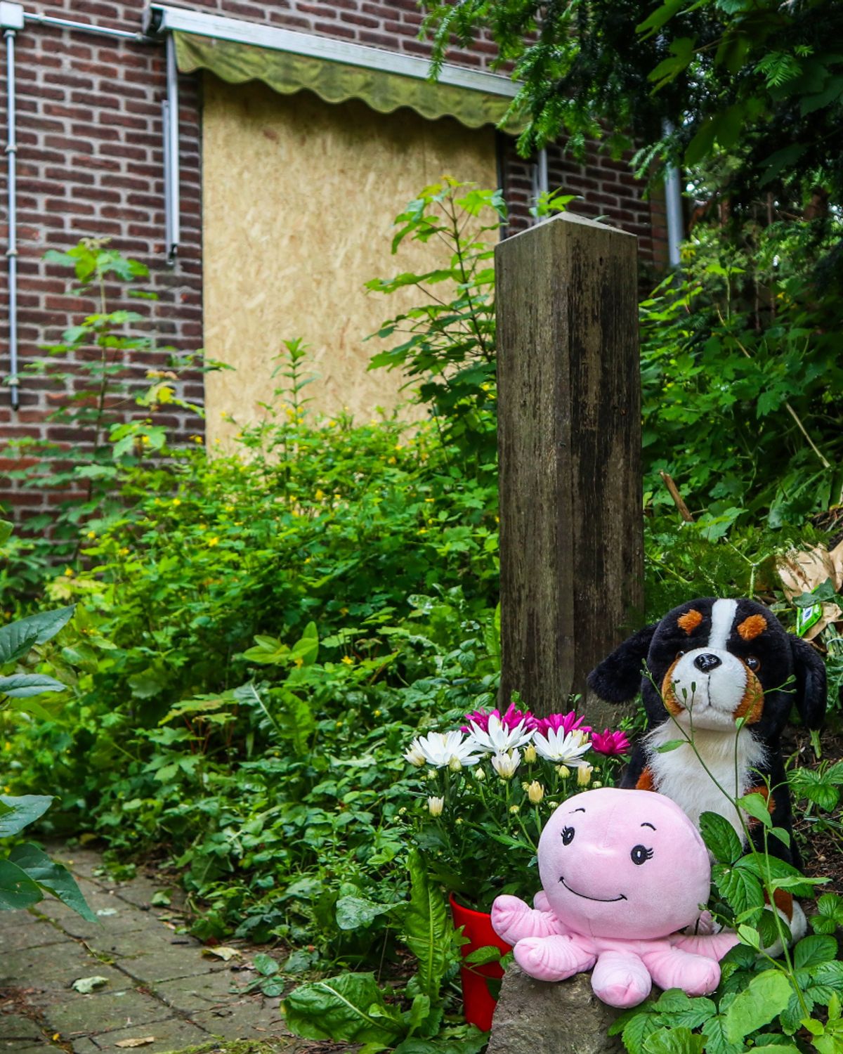 'Moeder en zusje Vlaardings pleegmeisje stellen zorgorganisaties aansprakelijk' - Rijnmond